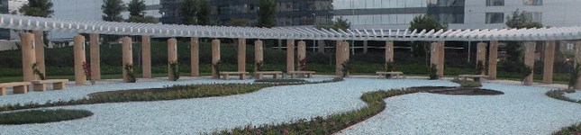 Paisajismo para empresas - Edificio YPF Puerto Madero - Tradem Style