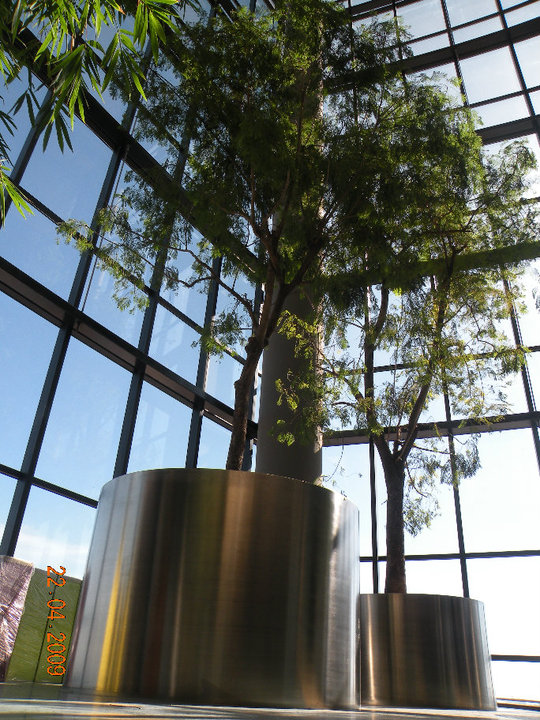 Paisajismo para empresas - Edificio YPF Puerto Madero - Tradem ...